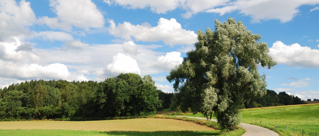 Über uns - Troiber - Troiber GmbH & Co. KG